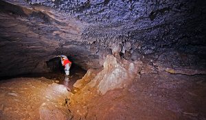 Why Some Caves Have Unique Ecosystems Found Nowhere Else on Earth ...